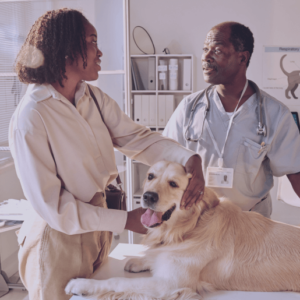 Partner With Us - VetnCare